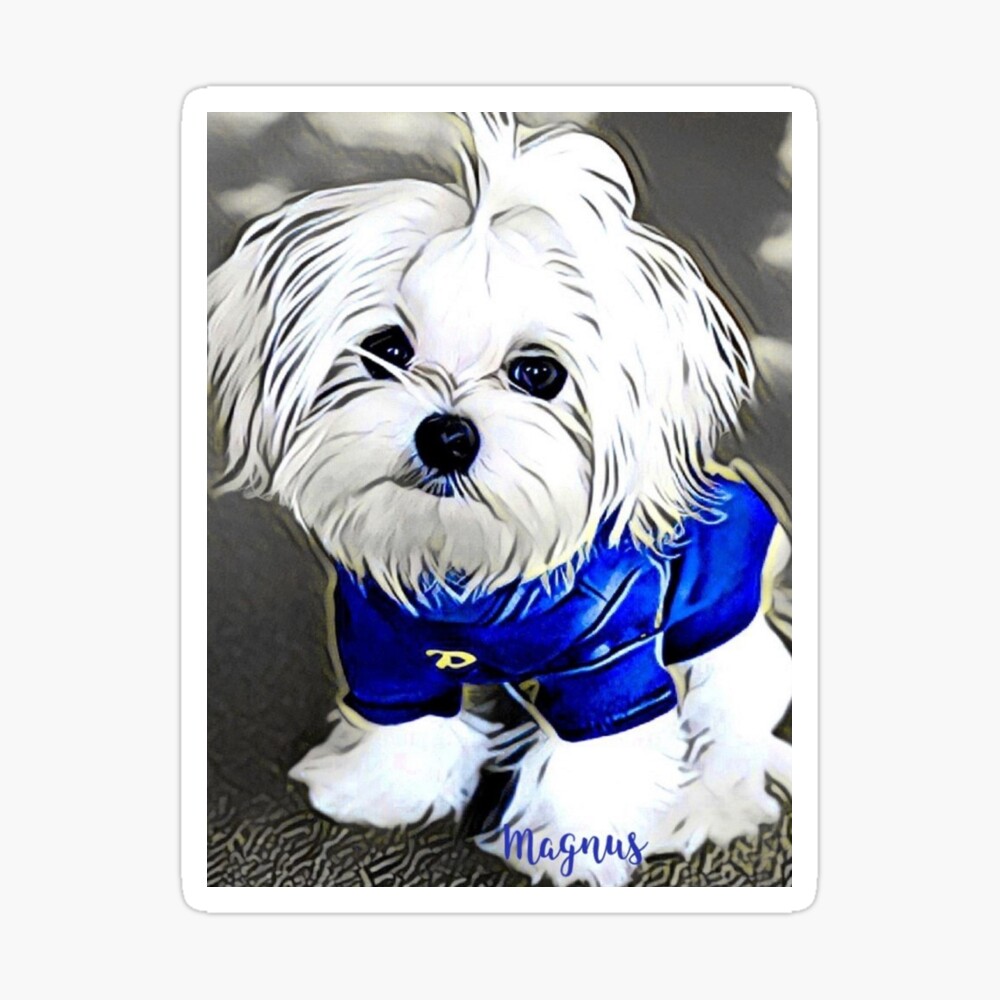 Maltese dog art print Perfect World Pet Supplies Pet Portraits etna.com.pe