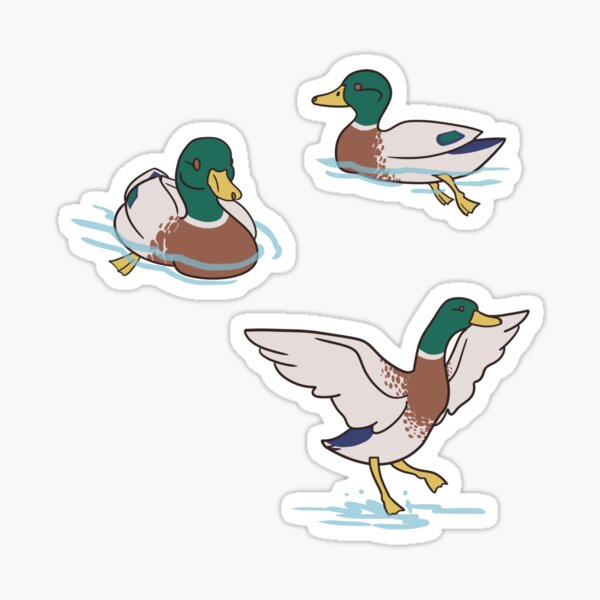 "Happy Ducks" Sticker by KellyGilkes | Redbubble