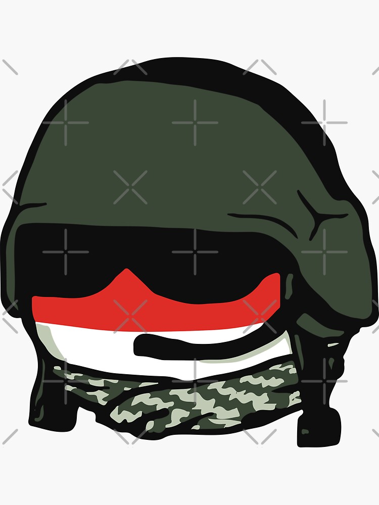Pegatina «Ejército polaco Polandball memes divertido Polonia bandera ...
