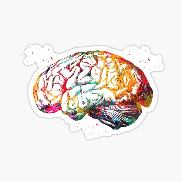 "Human Brain" Sticker for Sale by erzebetth | Redbubble