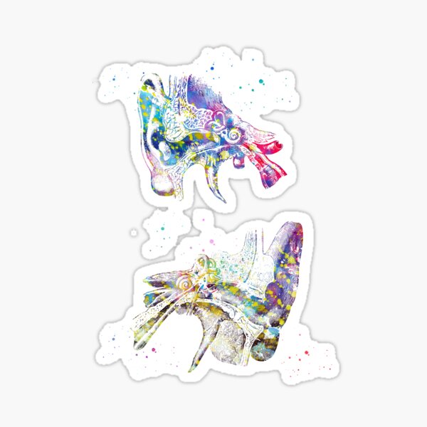 "Human ear" Sticker for Sale by erzebetth | Redbubble