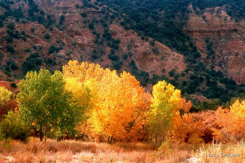 "Western fall colors" by Larry Grayam | Redbubble