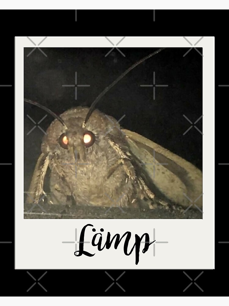 Moth Lamp Meme Poster By Jstuartart Redbubble
