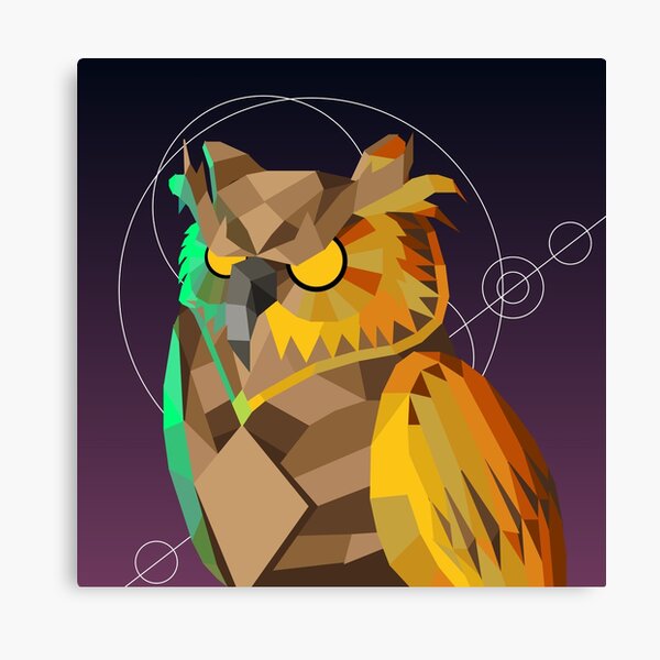 "Geometric Owl" Canvas Print for Sale by JustinWaiss | Redbubble