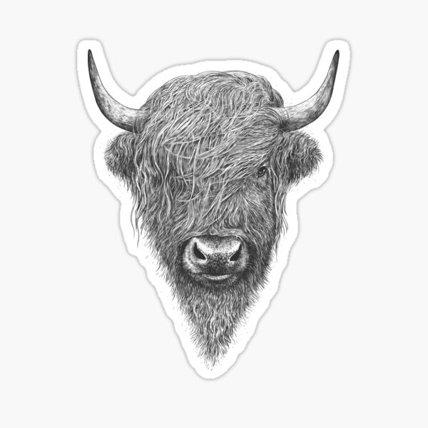 "Highland Bull" Sticker for Sale by kodamorkovkart | Redbubble