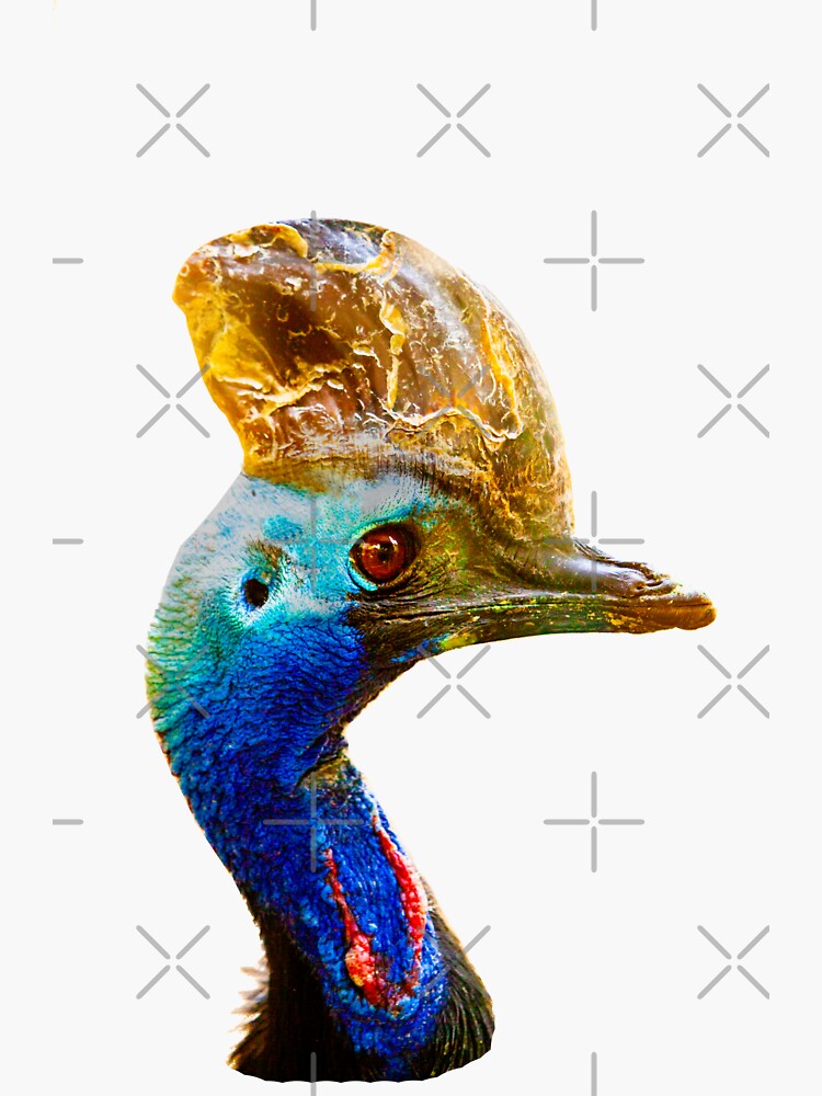 "Close-up of the head of a southern cassowary" Sticker for Sale by ...