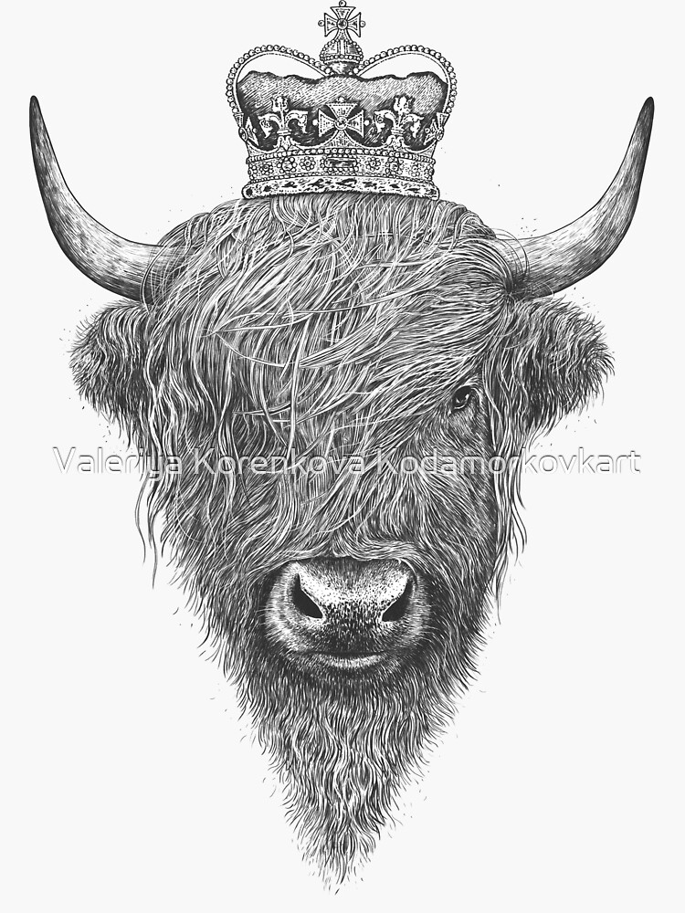 "The King Highland Bull" Sticker for Sale by kodamorkovkart | Redbubble