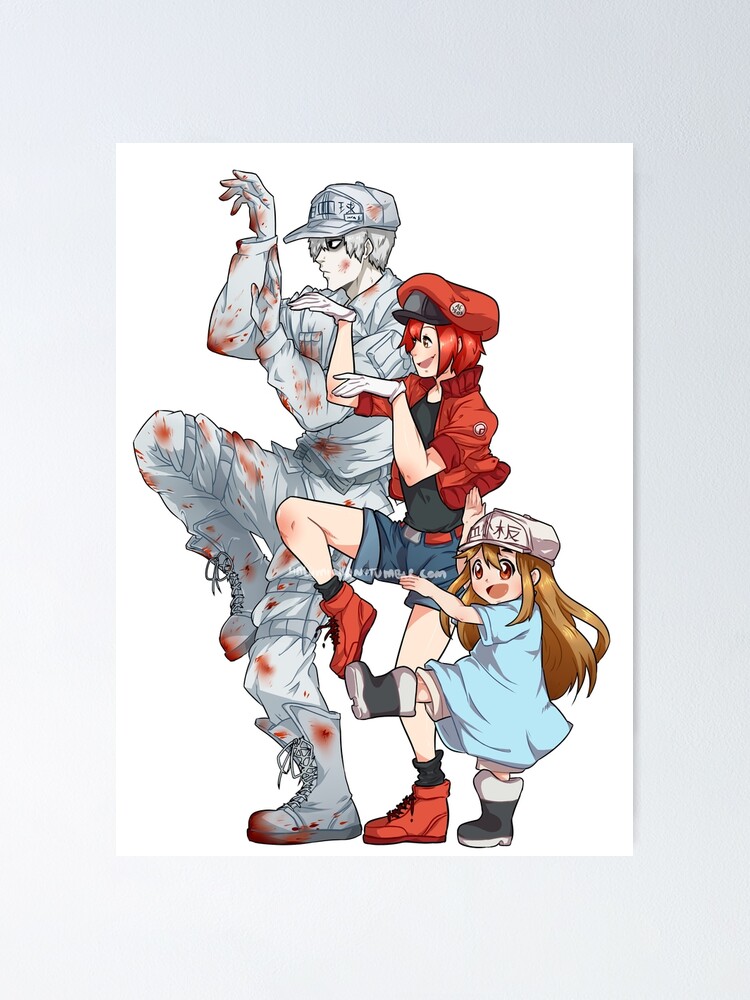 "CELLS AT WORK!" Poster by Halumichan | Redbubble