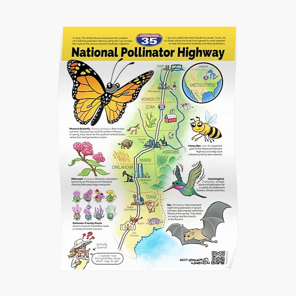 Pollinator Posters | Redbubble