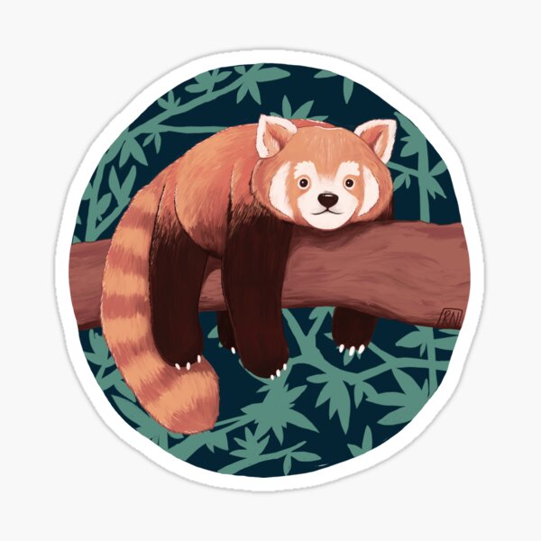 "Sleepy Red Panda " Sticker for Sale by RachelNutkins | Redbubble
