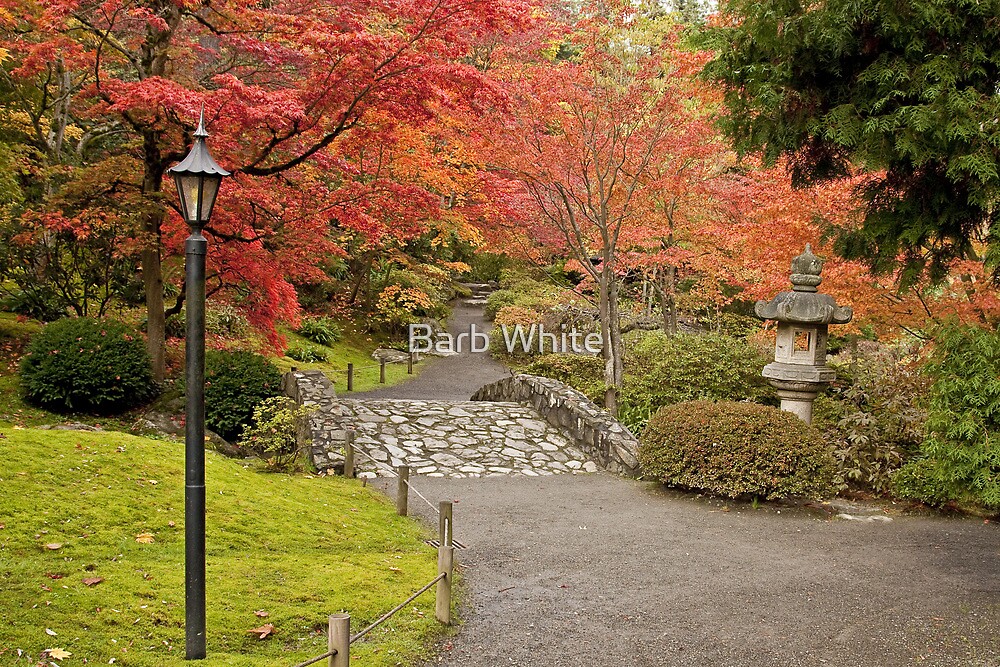 "Japanese Gardens in the Washington Park Arboretum" by Barb White ...