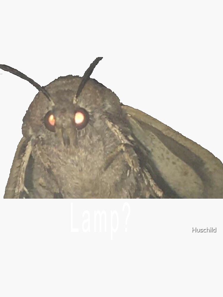 "Moth Lamp Meme " Sticker for Sale by Huschild | Redbubble