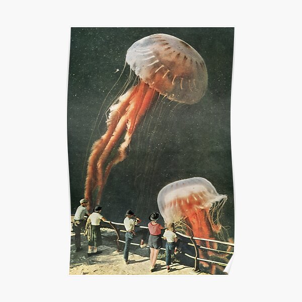 Jellyfish Posters | Redbubble