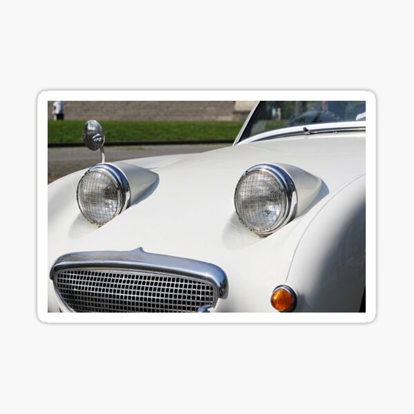 "Big eyes." Sticker by fotorobs | Redbubble