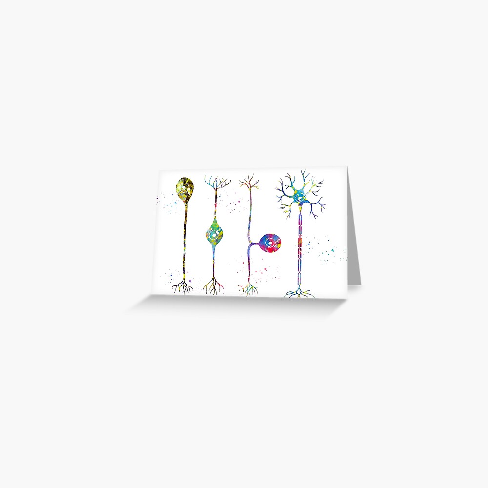 "Four types of neurons" Greeting Card by erzebetth | Redbubble