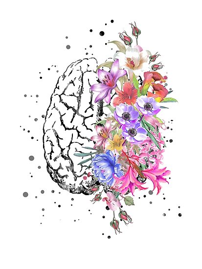 Poster « Anatomie du cerveau, cerveau aquarelle, cerveau de fleurs ...