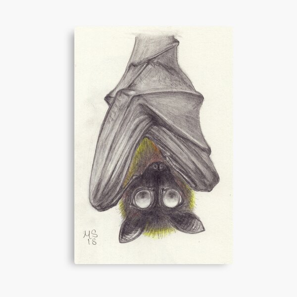 Witch Bat Canvas Prints | Redbubble