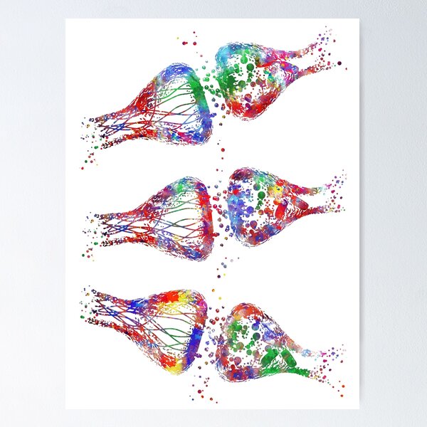 "Synapse receptor, neurology art, medical art, watercolor synapse ...
