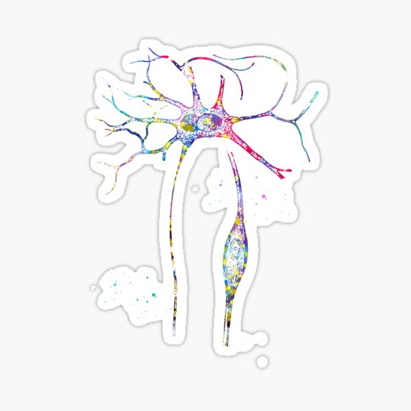 "Neurons Cells" Sticker for Sale by erzebetth | Redbubble