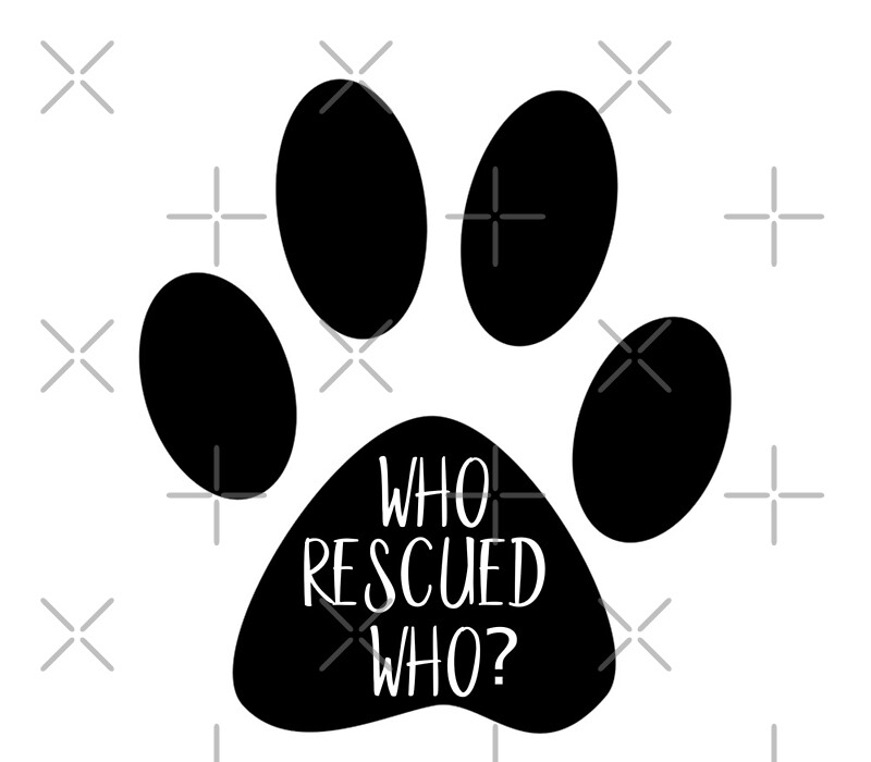 "Who Rescued Who Paw Print Dog Cat " by ColorFlowArt | Redbubble