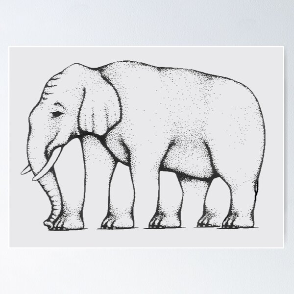 Elefantes Para Colorear En La Antigua India Asombrosa Elefantes