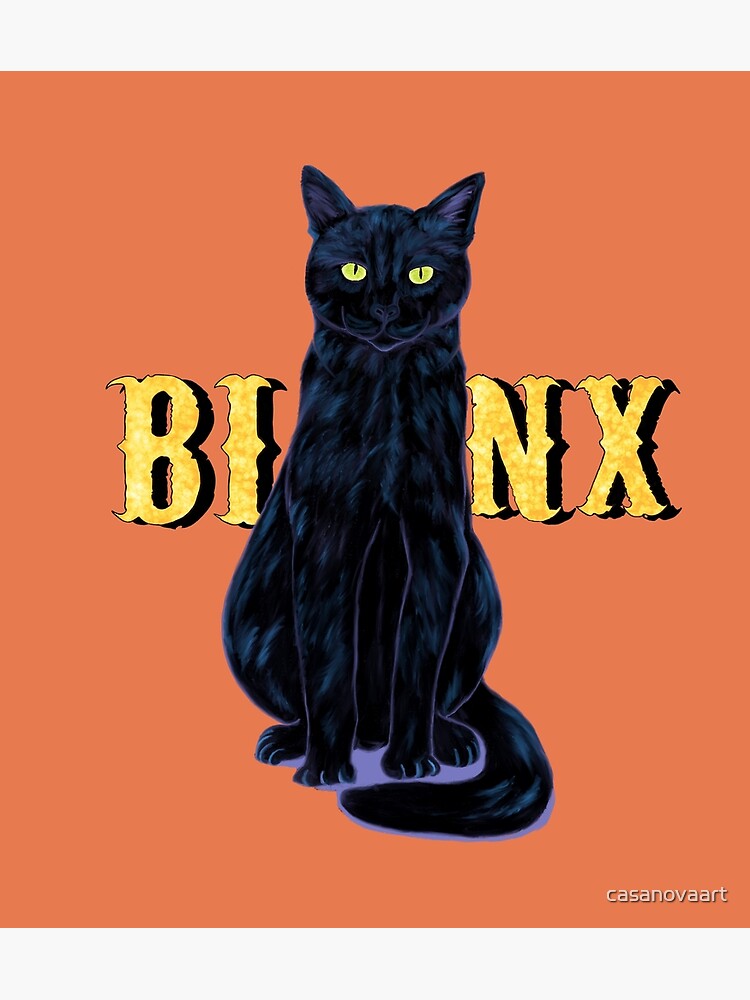 "Black Cat Binx Halloween " Photographic Print for Sale by casanovaart ...