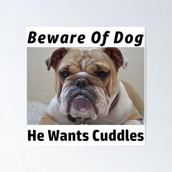 Funny English Bulldog Memes