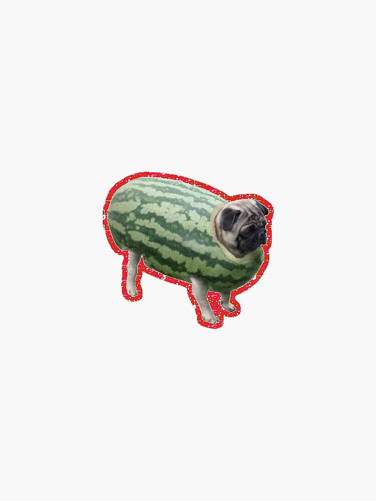 "Watermelon Doggo" Sticker for Sale by carolinepvoigt | Redbubble