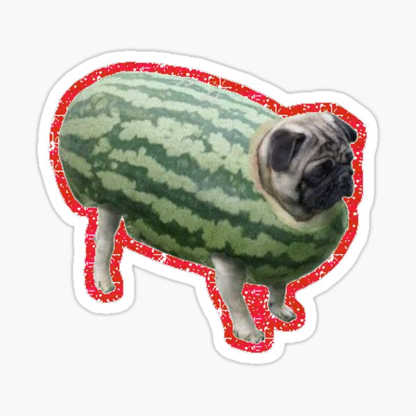 "Watermelon Doggo" Sticker for Sale by CVP CVP | Redbubble