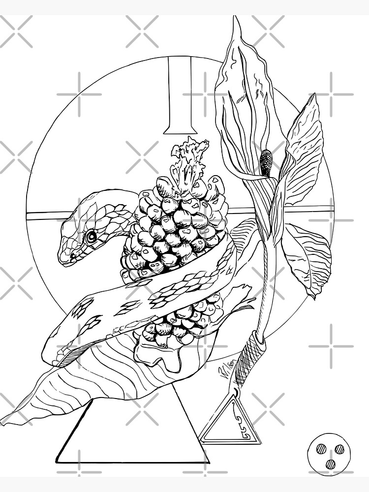 "Fillet of a Fenny Snake/Jack in the Pulpit" Sticker for Sale by ...