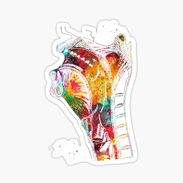 "Anatomy head and neck" Sticker for Sale by erzebetth | Redbubble