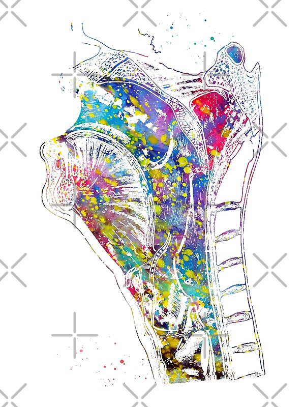 "Anatomy head and neck" by erzebetth | Redbubble