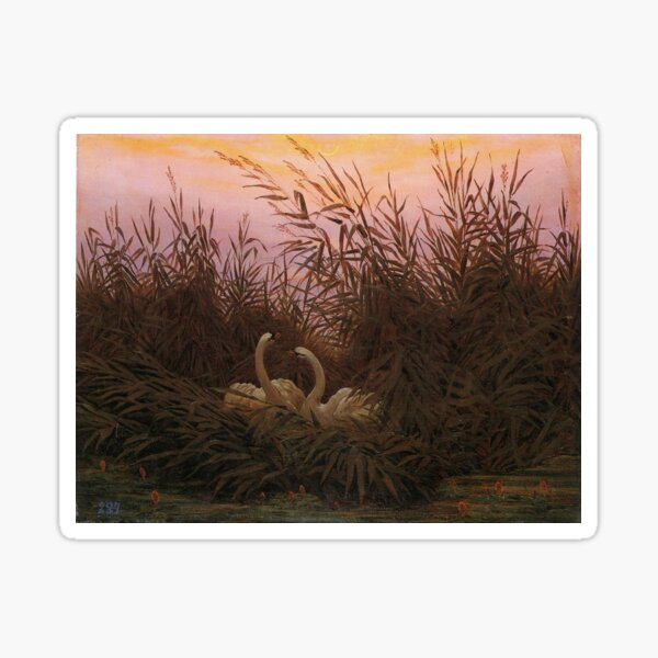 "Swans in the Reeds at Dawn (Caspar David Friedrich)" Sticker by ...