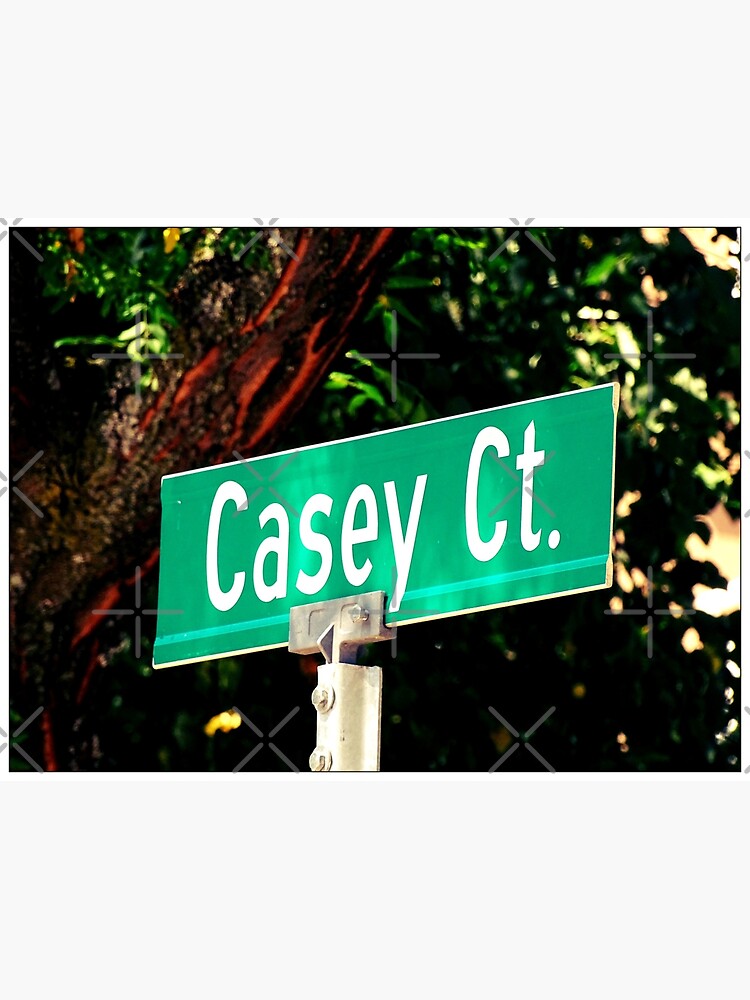 "Casey " Poster by PicsByMi | Redbubble