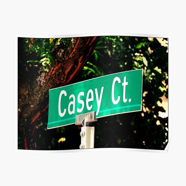 "Casey " Poster by PicsByMi | Redbubble