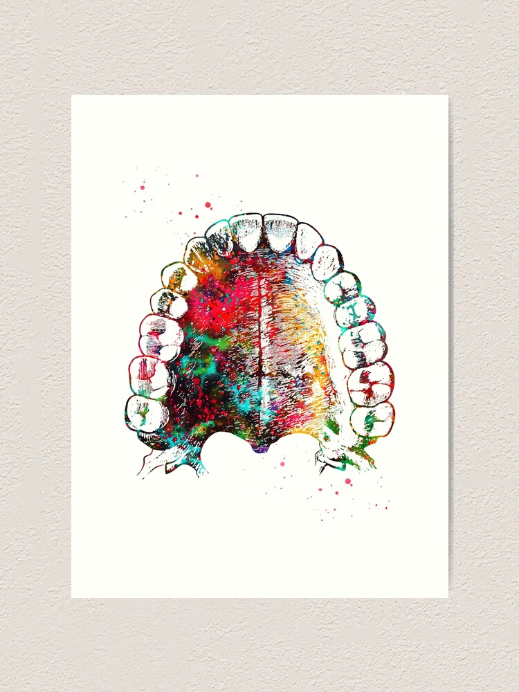 " Human Teeth" Art Print for Sale by erzebetth | Redbubble