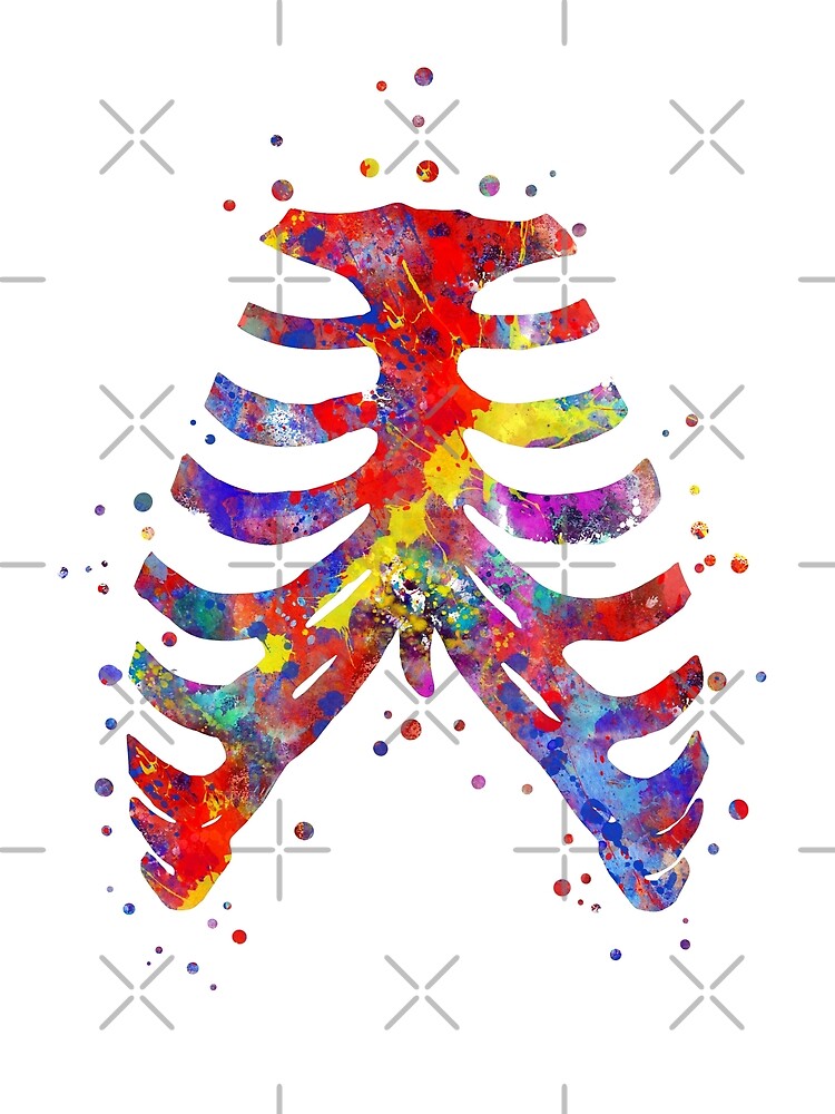 "Sternum, Breastbone" by Rosaliartbook | Redbubble