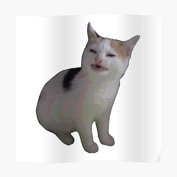 "Angry Cat Meme" Poster for Sale by katikat | Redbubble