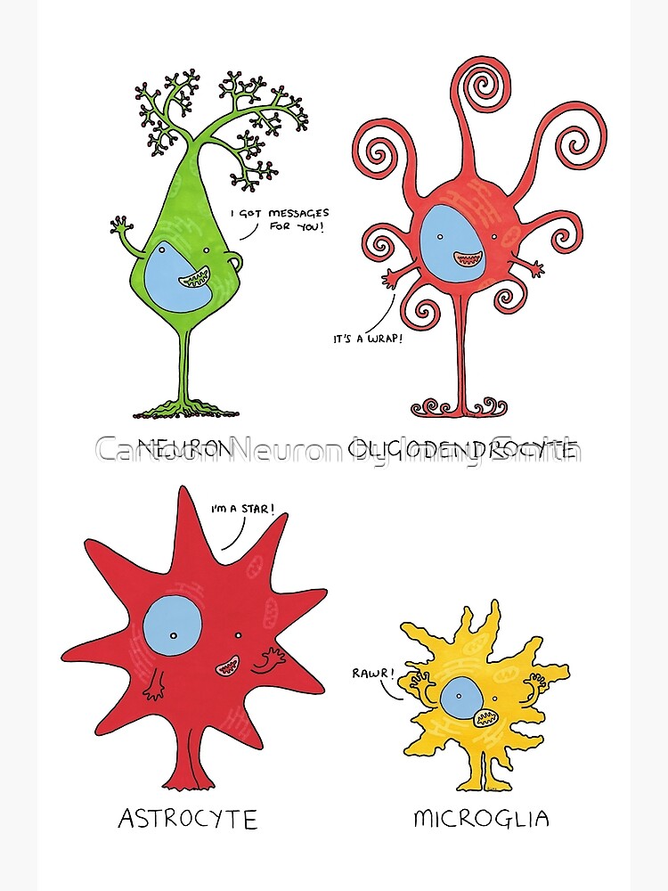 "Meet your brain cells! - TALL" Poster for Sale by Immy | Redbubble
