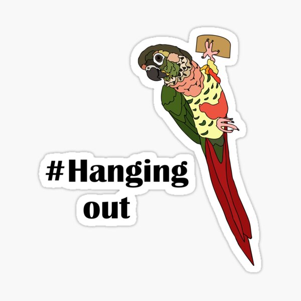 "#Hanging Out" Sticker for Sale by birbistheword | Redbubble
