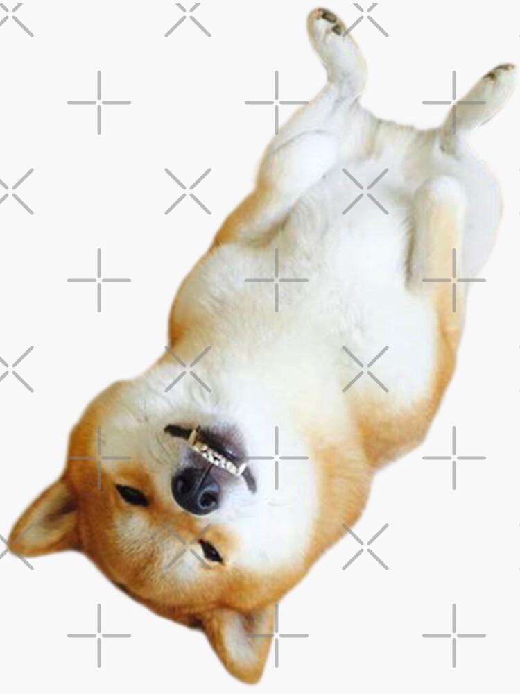 "A Good Doggo" Sticker for Sale by Elisecv | Redbubble