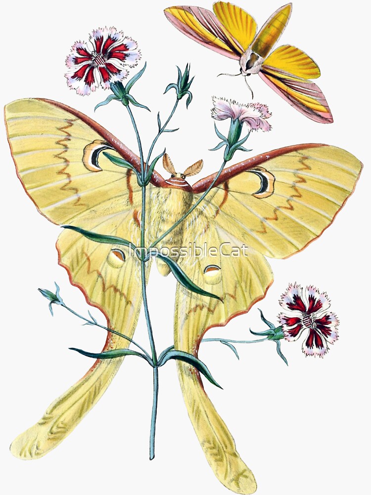 Pegatina «Mariposas amarillas con flores» de ImpossibleCat | Redbubble
