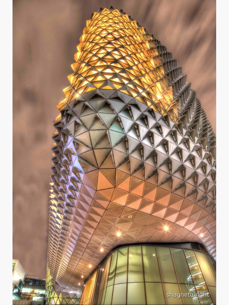 "SAHMRI - Adelaide" Poster for Sale by shaynetwright | Redbubble