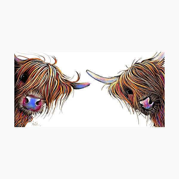 "HiGHLaND CoWS PRiNT SCoTTiSH ' HaVe A GReaT DaY! ' BY SHiRLeY ...