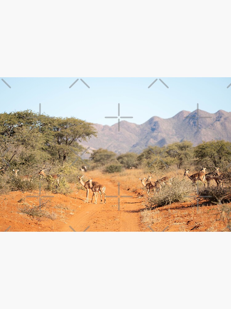 "Kalahari Landscape" Sticker by elissatitle | Redbubble