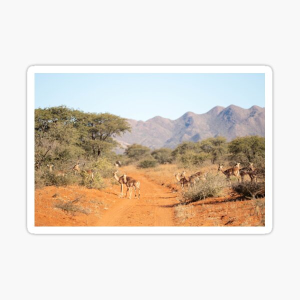 "Kalahari Landscape" Sticker by elissatitle | Redbubble