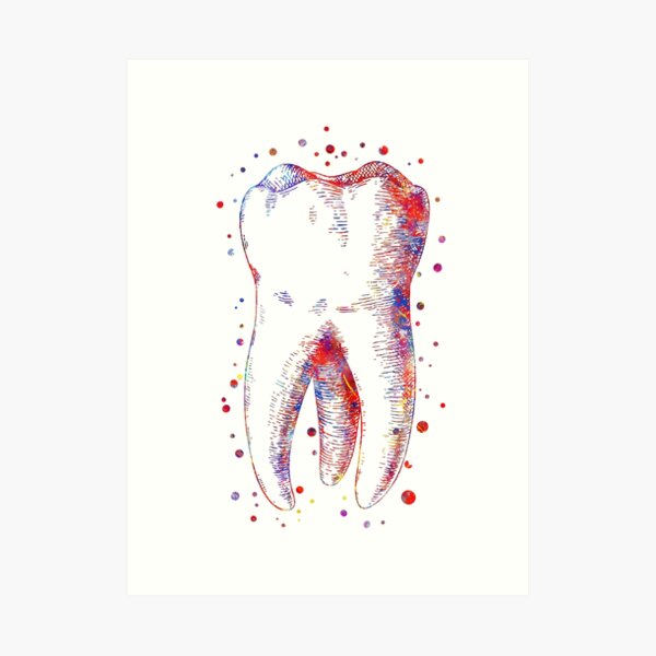 "Human tooth, watercolor tooth, tooth, dental print" Art Print for Sale ...