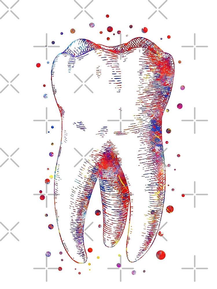 "Human tooth, watercolor tooth, tooth, dental print" by Rosaliartbook ...