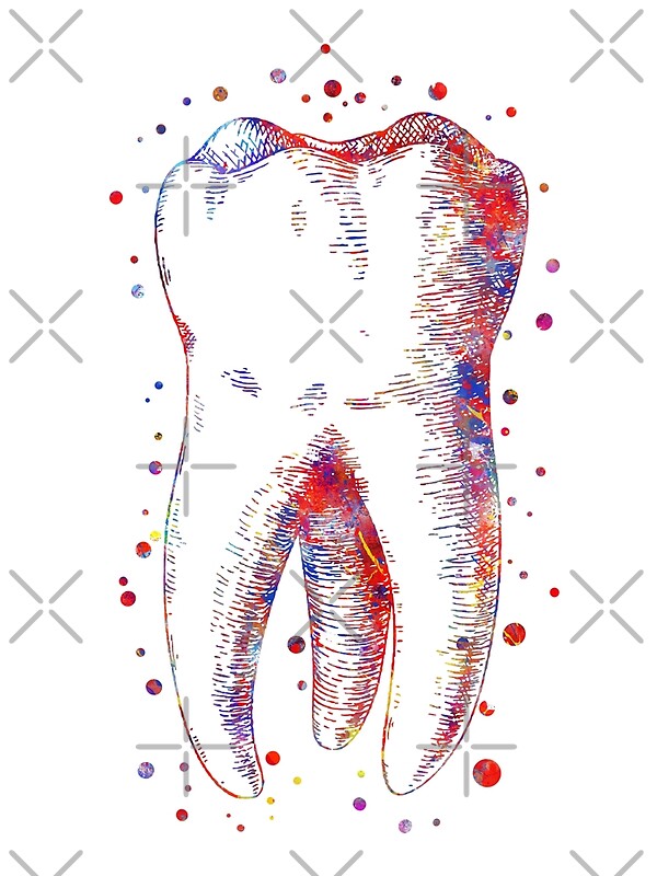 "Human tooth, watercolor tooth, tooth, dental print" by Rosaliartbook ...
