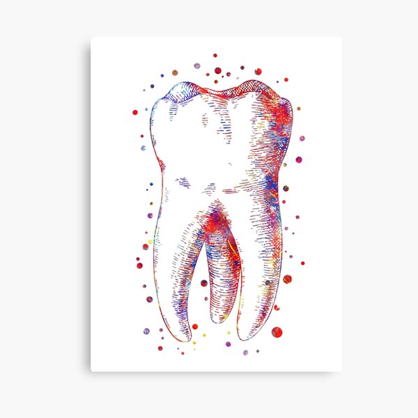 "Human tooth, watercolor tooth, tooth, dental print" Canvas Print for ...